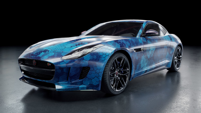 Wrapstock - Coral Reef