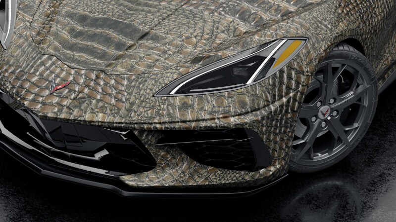 Wrapstock - Crocodile