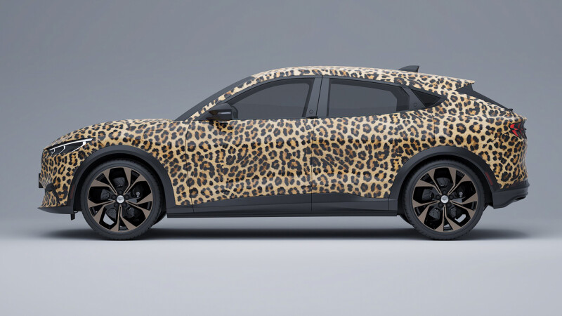 Wrapstock - Cheeky Leopard